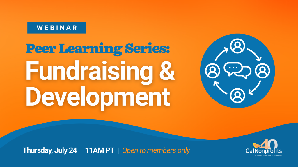Peer Learning Program: Fundraising and Development